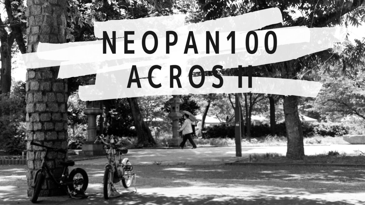 NEOPAN 100 ACROSⅡを試してみた：最高のモノクロフィルムは本当に最高か？作例もたっぷり紹介！