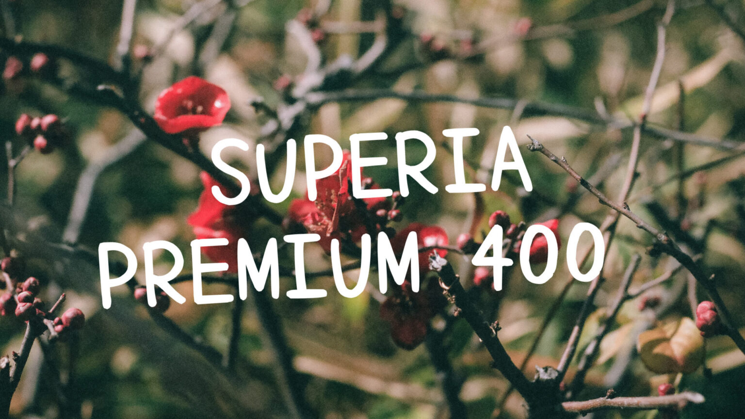 フィルムカメラの醍醐味が味わえる！SUPERIA PREMIUM400のレビューと作例