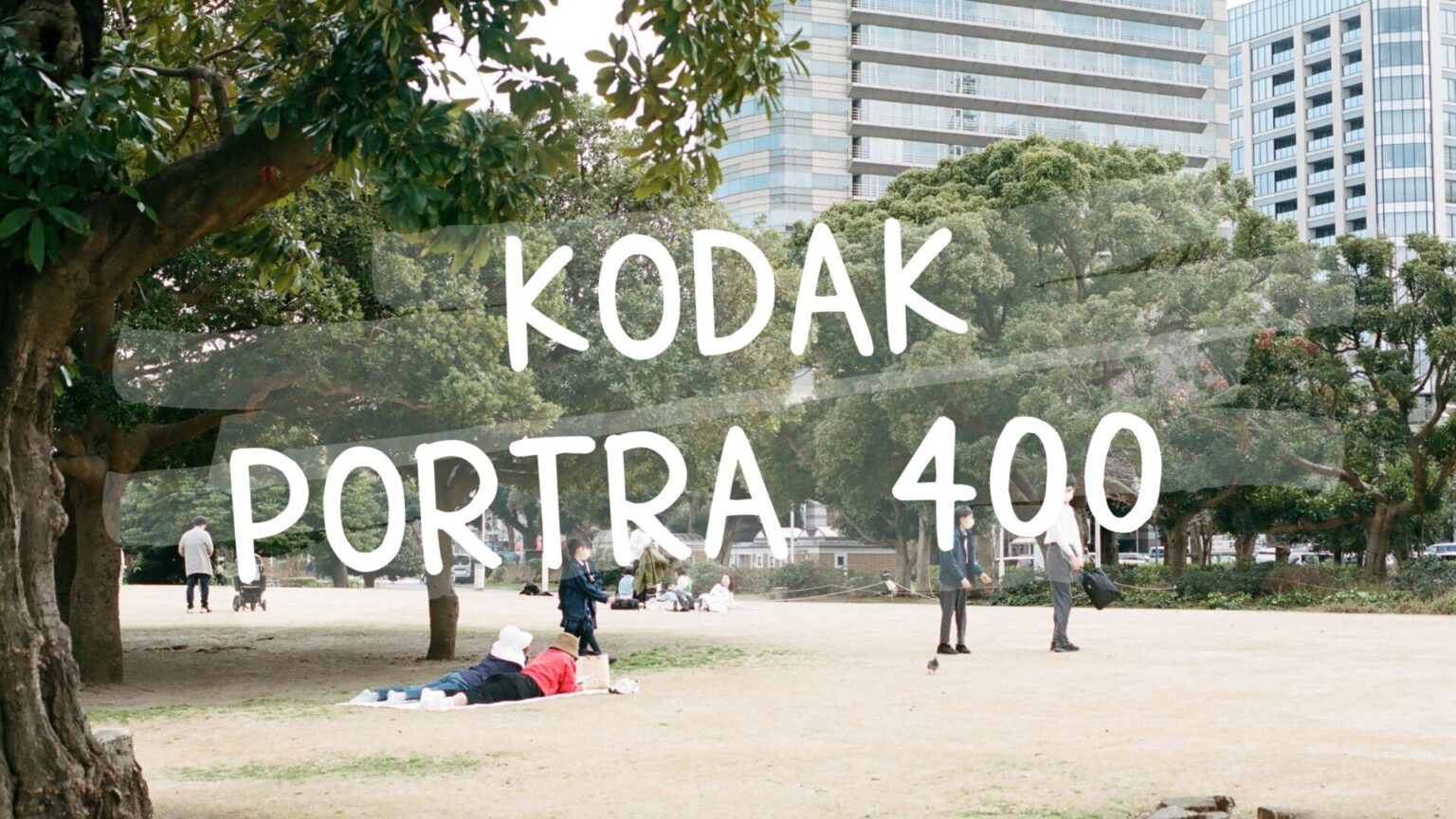 Kodak Portra 400レビュー：ポートラの魅力とは？色再現性と滑らかさにあり！